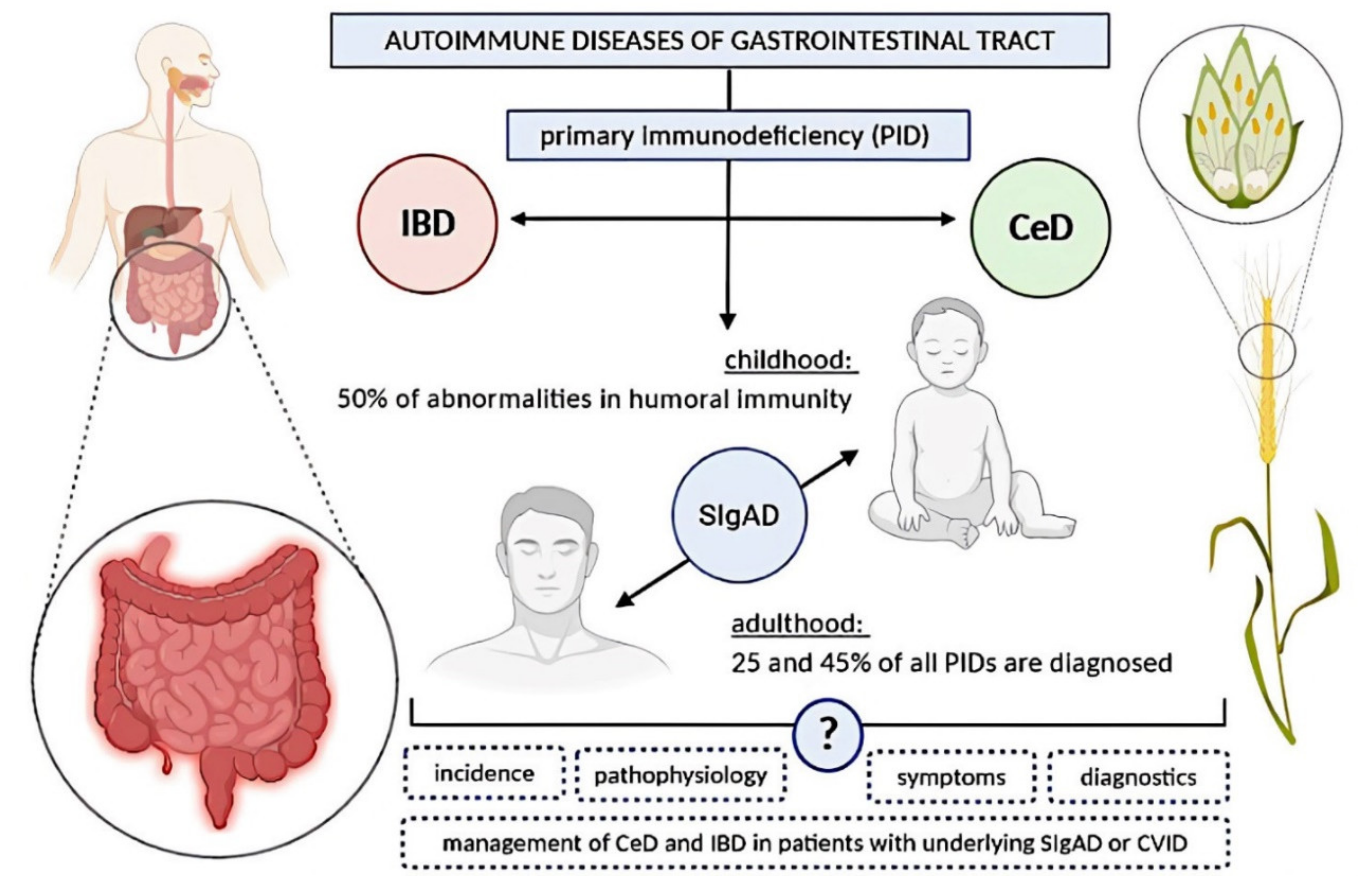 Acquired Immune Deficiency Syndrome - Pictures Acquired Immune Deficiency Syndrome - Pictures