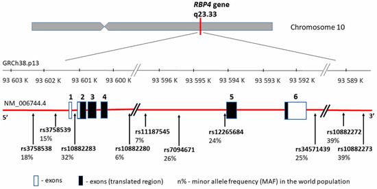 Is the Retinol-Binding Protein 4 a Possible Risk Factor for ...