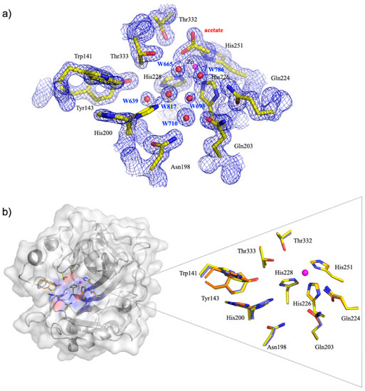 Biophysical Characterization of Cancer-Related Carbonic Anhydrase IX