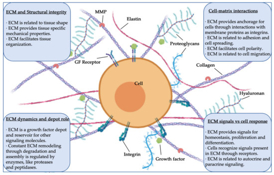 Tissue-Specific Decellularization Methods: Rationale and Strategies to ...