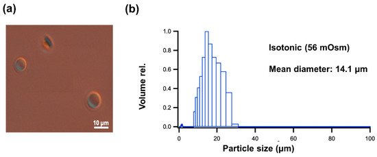 Key Process and Factors Controlling the Direct Translocation of Cell ...