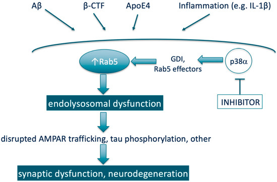 P38α MAPK Signaling—A Robust Therapeutic Target for Rab5-Mediated ...