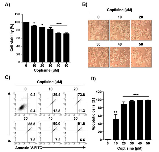 IJMS | Free Full-Text | Induction of Apoptosis by Coptisine in Hep3B ...