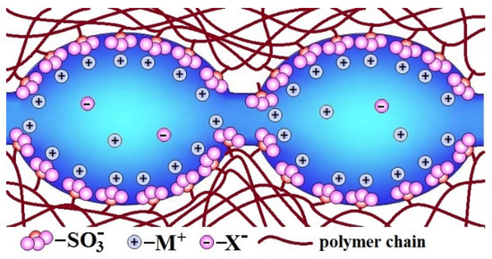 Selectivity of Transport Processes in Ion-Exchange Membranes ...