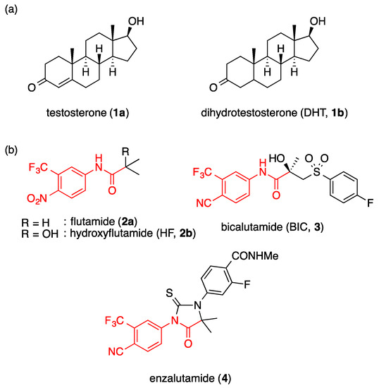 Development of Androgen-Antagonistic Coumarinamides with a Unique Aromatic Folded Pharmacophore