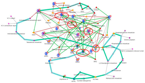 Metabolic Dysregulation in Idiopathic Pulmonary Fibrosis