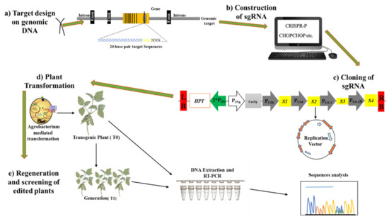 IJMS | Special Issue : Crop Improvement through Multi-Trait Gene ...