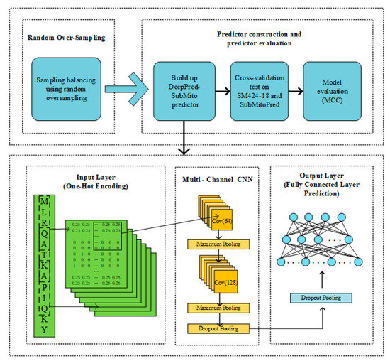 IJMS | Free Full-Text | DeepPred-SubMito: A Novel Submitochondrial ...