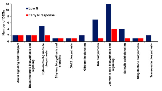 Comparative Transcriptomics of Rice Genotypes with Contrasting ...