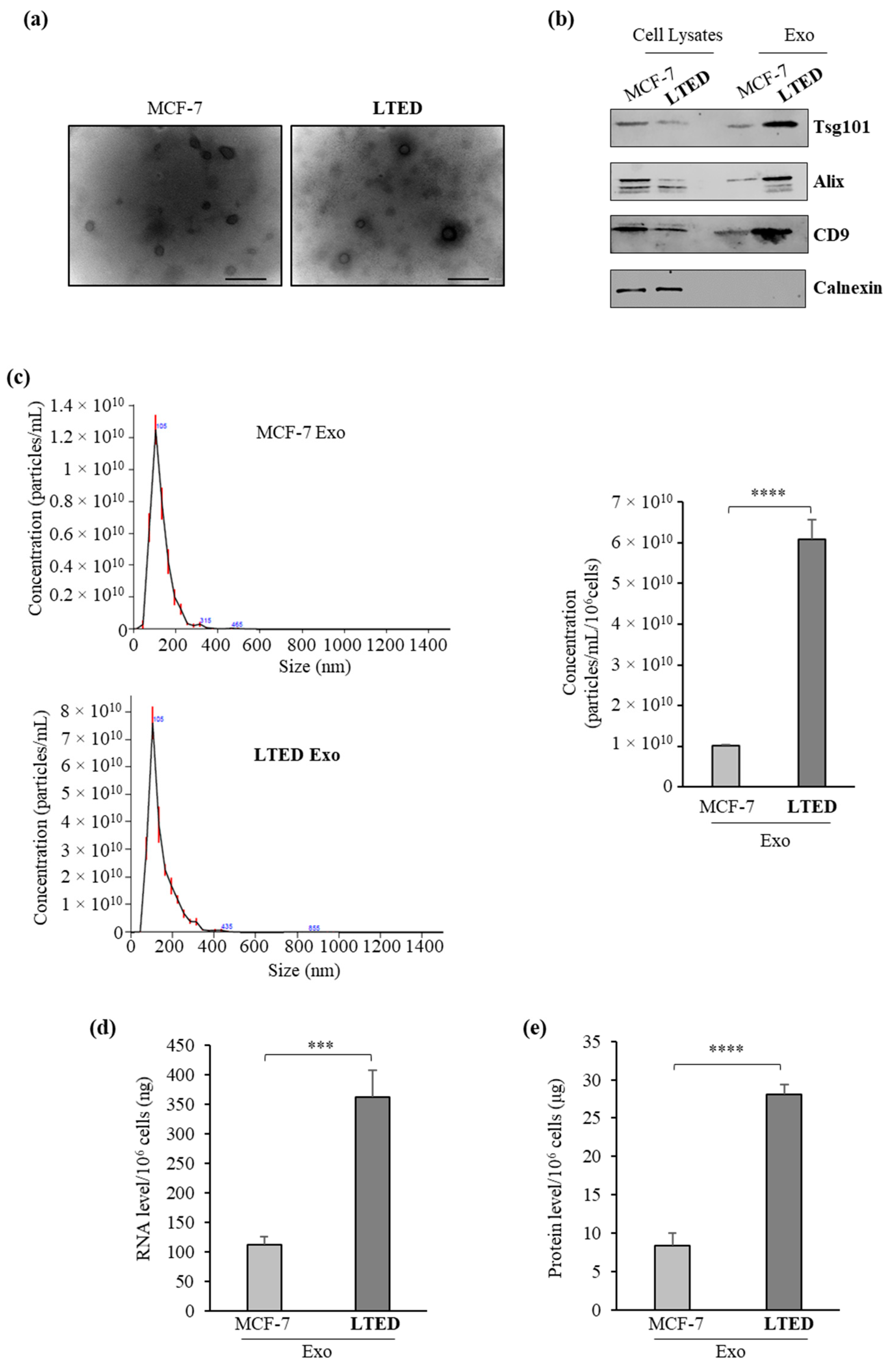 Ijms Free Full Text Evidence For Enhanced Exosome Production In