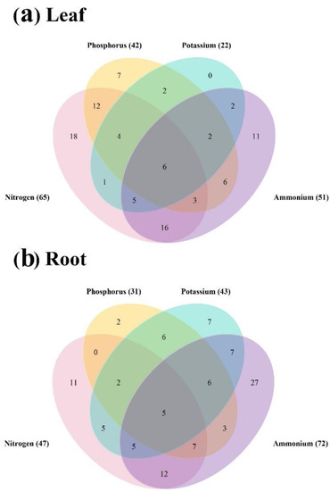 Genome-Wide Systematic Characterization of the NPF Family Genes and ...