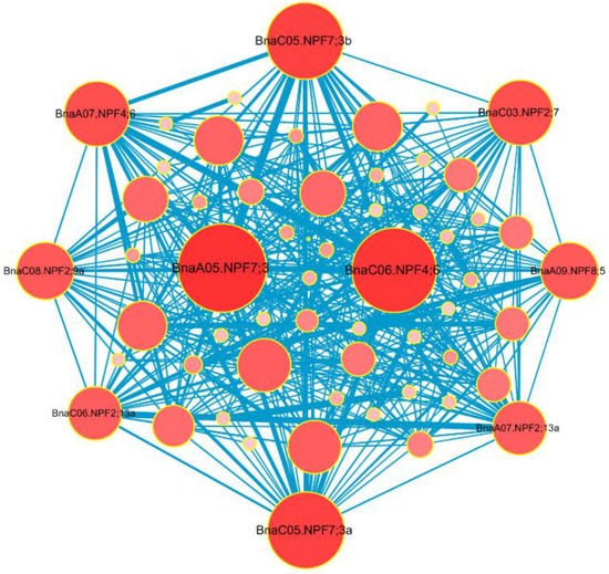 Genome-Wide Systematic Characterization of the NPF Family Genes and ...