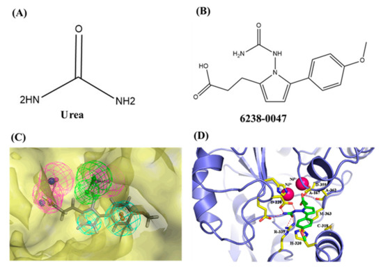 IJMS | Free Full-Text | A Novel Urease Inhibitor of Ruminal Microbiota ...