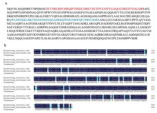 Identification and Functional Analysis of AopN, an Acidovorax Citrulli ...