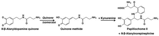 Chemical Reactivities of ortho-Quinones Produced in Living Organisms ...