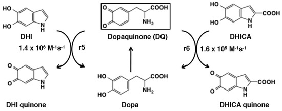 Chemical Reactivities of ortho-Quinones Produced in Living Organisms ...
