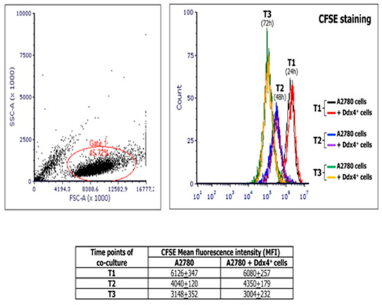DEAD-Box Helicase 4 (Ddx4)+ Stem Cells Sustain Tumor Progression in Non ...