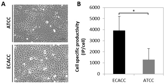 Cell Bank Origin of MDCK Parental Cells Shapes Adaptation to Serum-Free ...