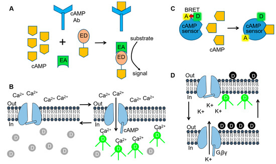 Molecular Pharmacology of Synthetic Cannabinoids: Delineating CB1 ...