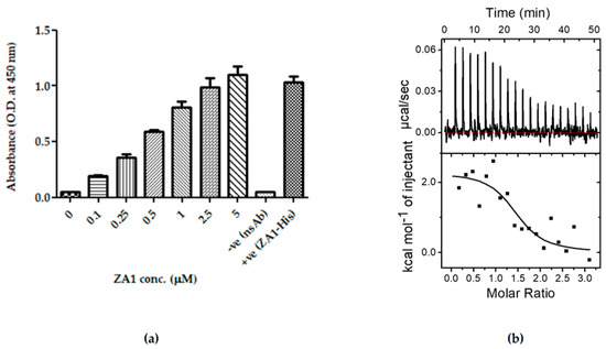 A De novo Peptide from a High Throughput Peptide Library Blocks Myosin ...