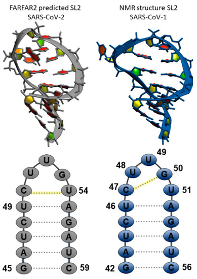 IJMS | Special Issue : RNA Structure Prediction