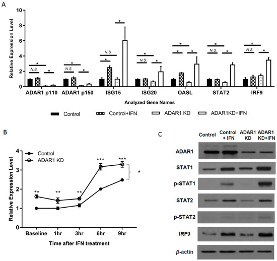 ADAR1 Suppresses Interferon Signaling in Gastric Cancer Cells by ...