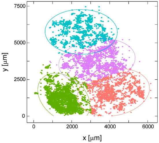 Proliferation and Cluster Analysis of Neurons and Glial Cell ...