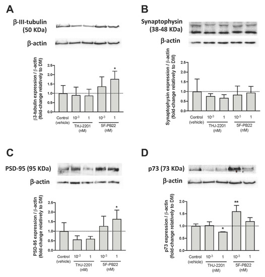 The Synthetic Cannabinoids THJ-2201 and 5F-PB22 Enhance In Vitro CB1 ...