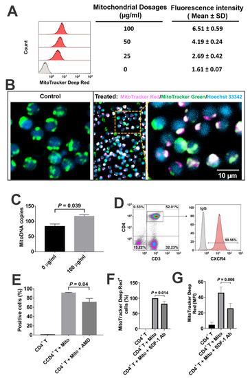 Immune Modulation of Platelet-Derived Mitochondria on Memory CD4+ T ...
