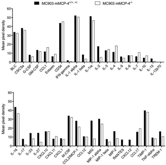 Mast Cells Limit Ear Swelling Independently of the Chymase Mouse Mast ...