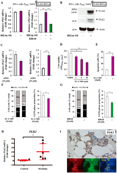 Targeting Adaptive IRE1α Signaling and PLK2 in Multiple Myeloma ...