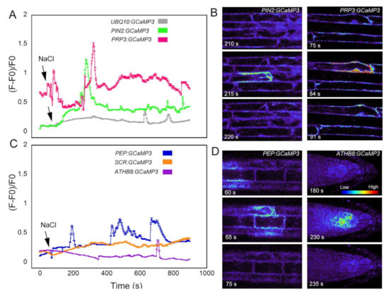 Cell Type-Specific Imaging of Calcium Signaling in Arabidopsis thaliana ...