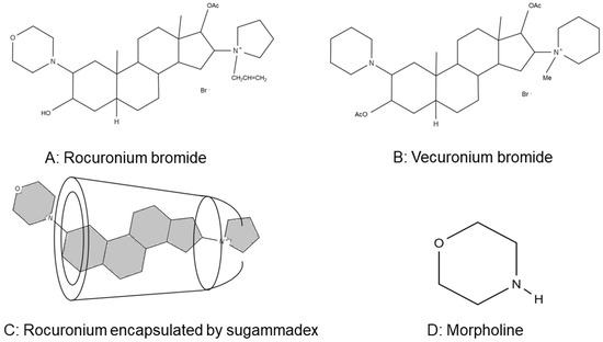 Vecuronium Mechanism Of Action
