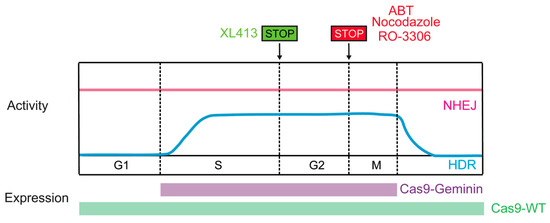 Methods Favoring Homology-Directed Repair Choice in Response to CRISPR ...