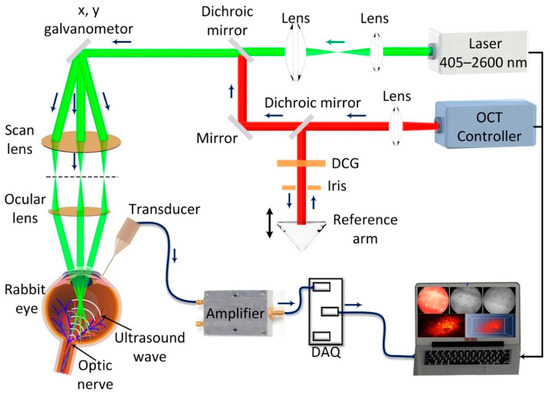 High Resolution Multimodal Photoacoustic Microscopy and Optical ...