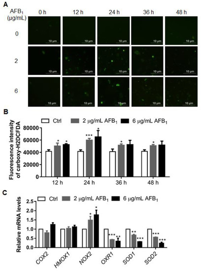 Aflatoxin B1 Induces Neurotoxicity through Reactive Oxygen Species ...