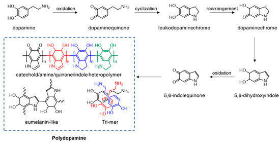 Strategies for Using Polydopamine to Induce Biomineralization of ...