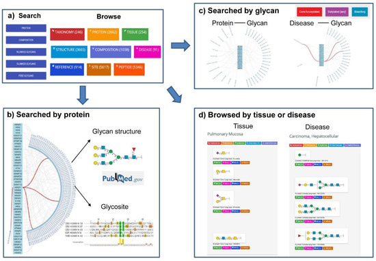 Databases and Bioinformatic Tools for Glycobiology and Glycoproteomics