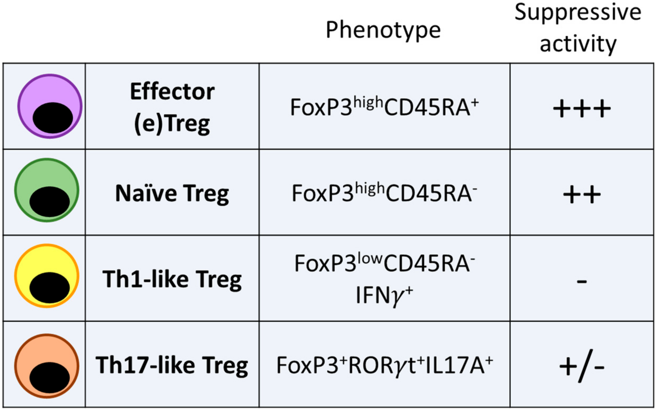 Ijms Free Full Text Tumor Infiltrating Regulatory T Cells In