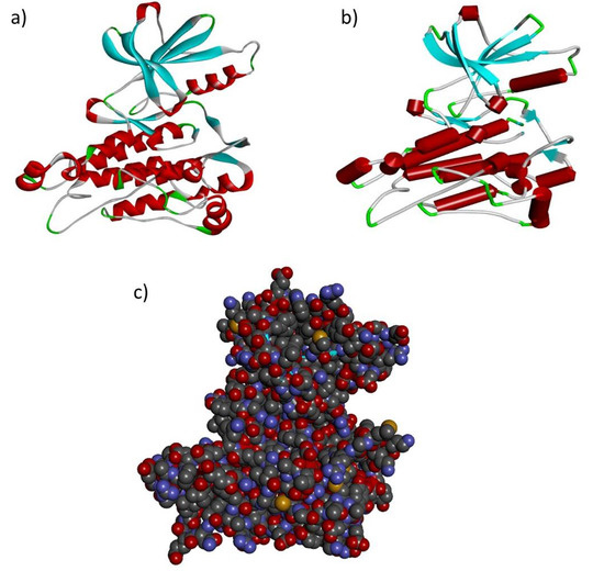 IJMS | Free Full-Text | TIE1 as a Candidate Gene for Lymphatic ...
