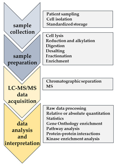 The Implementation of Mass Spectrometry-Based Proteomics Workflows in ...