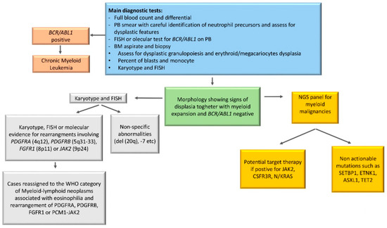 Atypical Chronic Myeloid Leukemia: Where Are We Now?