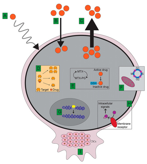 Targeting Molecular Mechanisms Underlying Treatment Efficacy and ...
