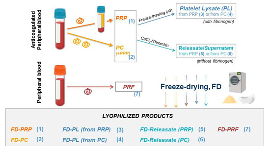 Freeze-Drying of Platelet-Rich Plasma: The Quest for Standardization