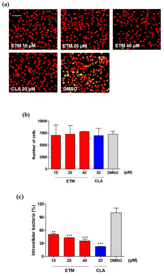 Etamycin as a Novel Mycobacterium abscessus Inhibitor