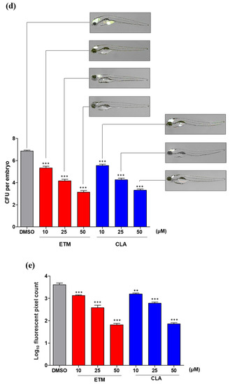 Etamycin as a Novel Mycobacterium abscessus Inhibitor