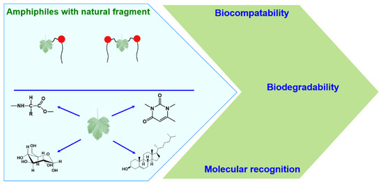 Self-Assembly of Amphiphilic Compounds as a Versatile Tool for ...