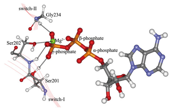 How Kinesin-1 Utilize the Energy of Nucleotide: The Conformational ...