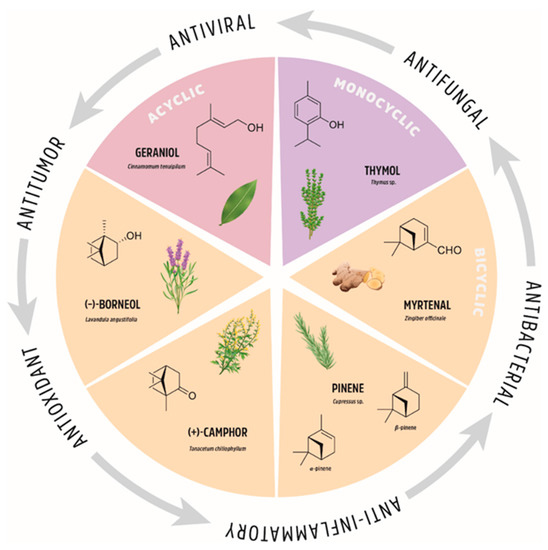 Monoterpenes and Their Derivatives—Recent Development in Biological and ...