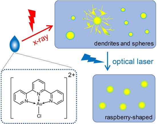 IJMS | Free Full-Text | Gold Nanoparticle Formation via X-ray ...